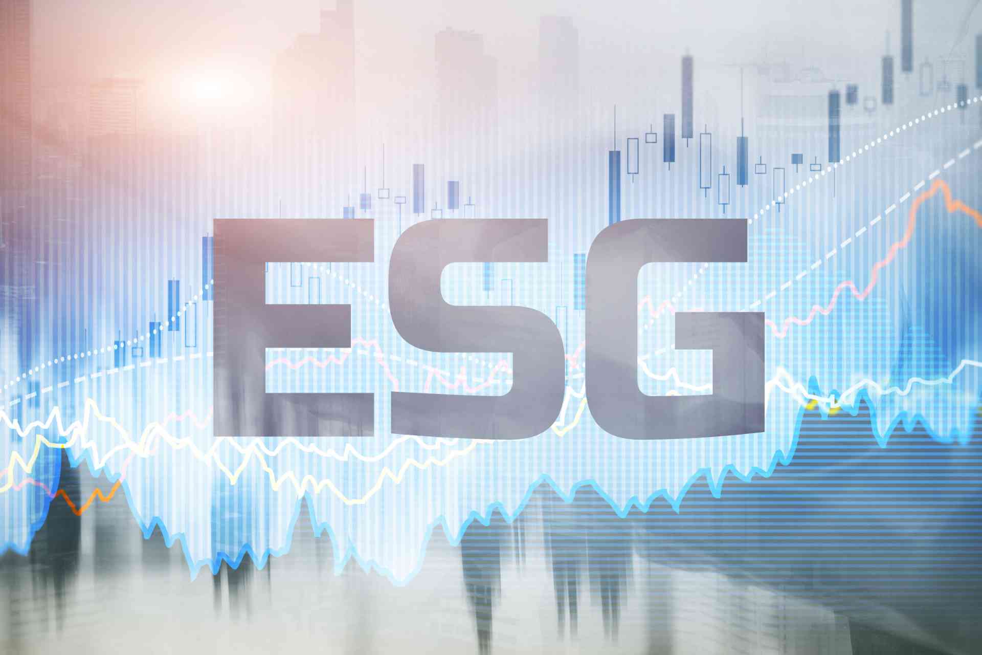 Measuring what matters: Unpacking ESG performance metrics for long-term ...